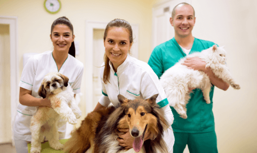 Veterinary Careers at Tidewater Veterinary Hospital in Charlotte Hall, MD